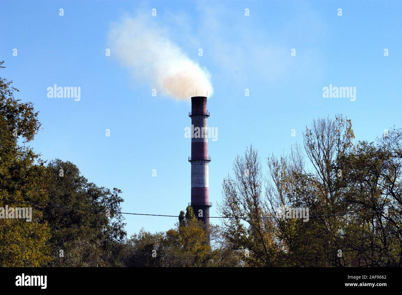 Steam among trees hi-res stock photography and images - Alamy