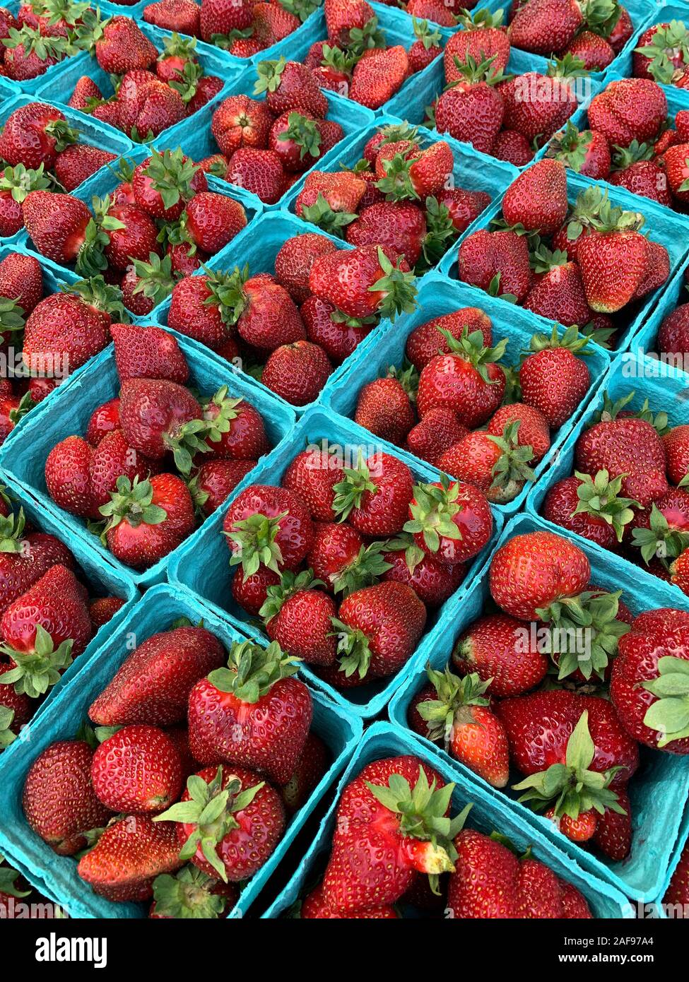 Farmers with strawberries hi-res stock photography and images - Alamy