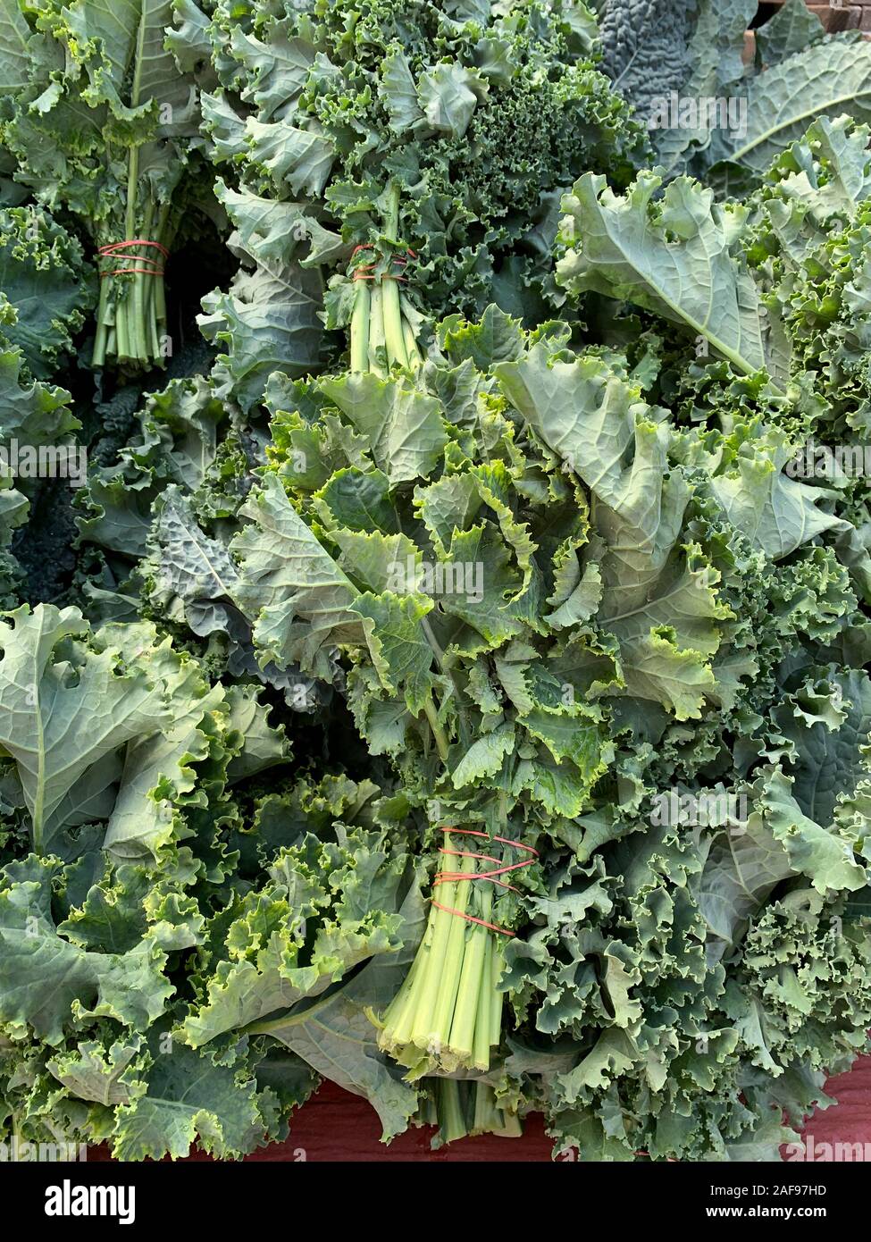 Farmers market vegetables hi-res stock photography and images - Alamy