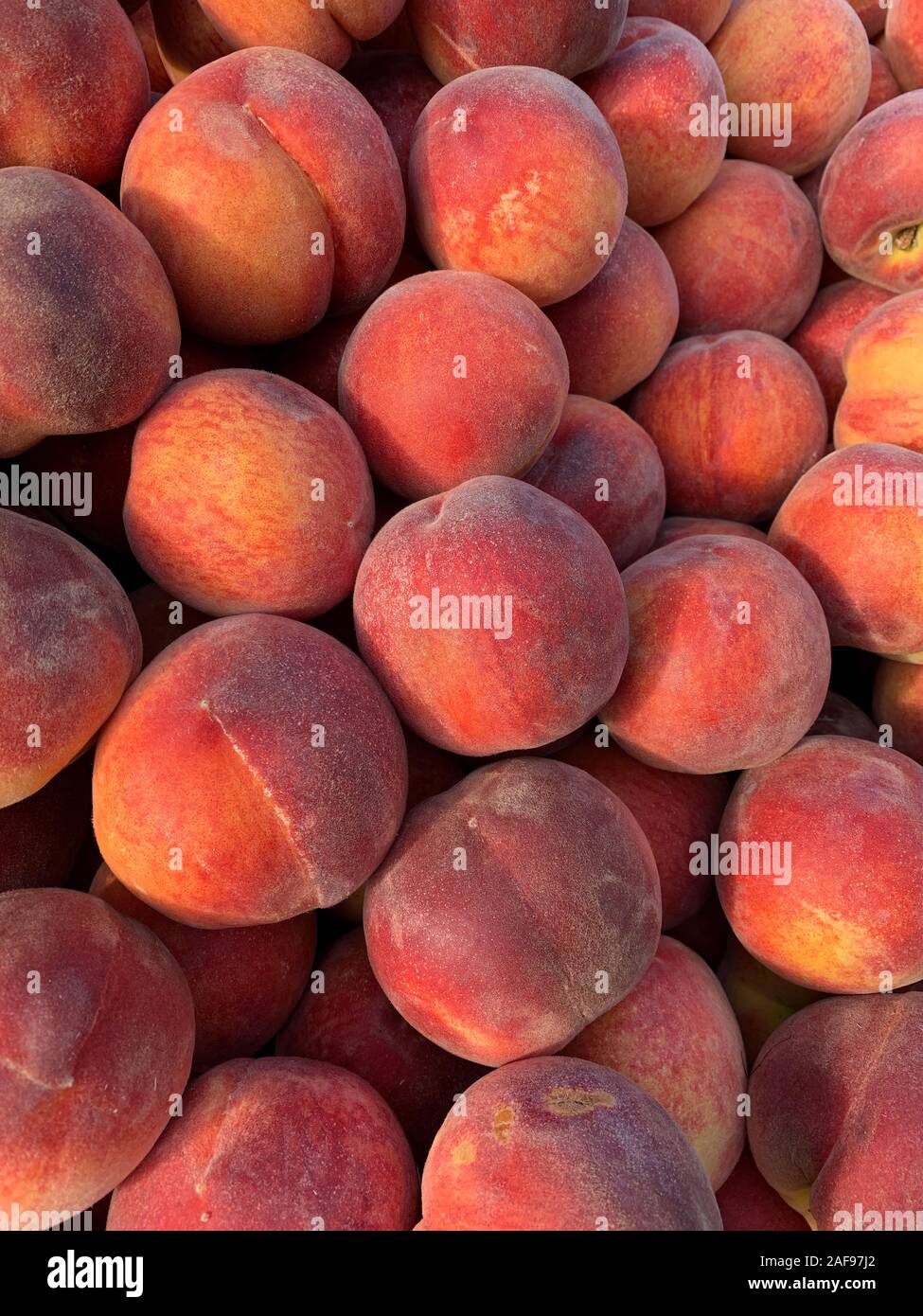 Alexandria market hi-res stock photography and images - Alamy