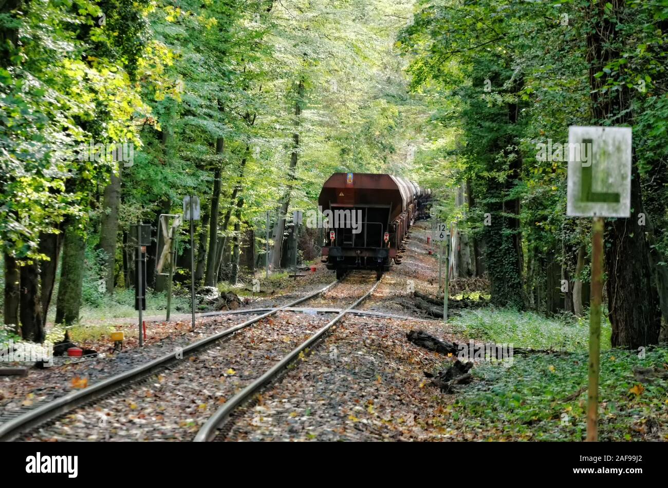 a freight train travels through a dense forest Stock Photo - Alamy