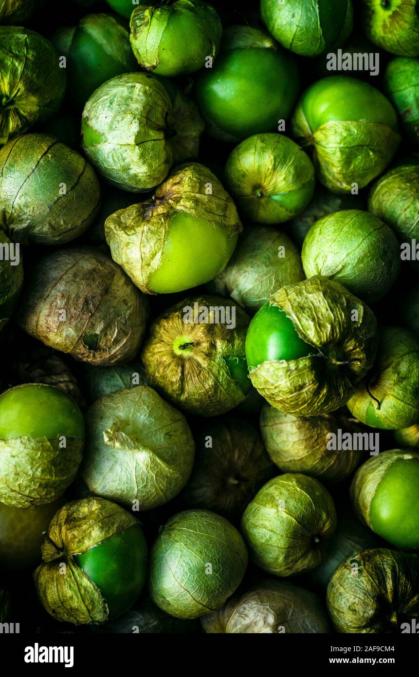 Tomatillo harvest hi-res stock photography and images - Alamy