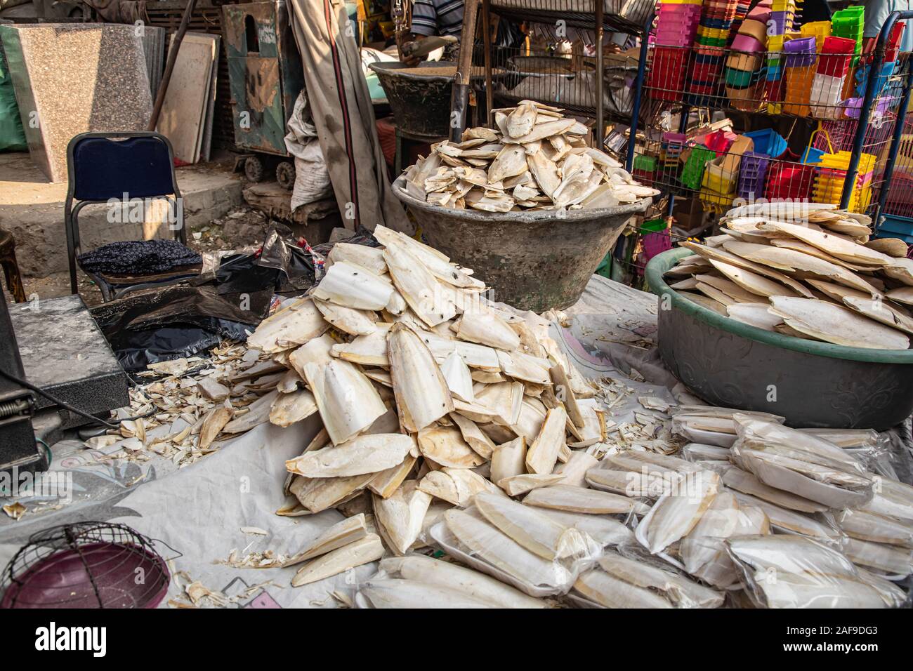 Africa, Egypt, Cairo. Dried fish for sale at the Souk al-Gomaa market ...