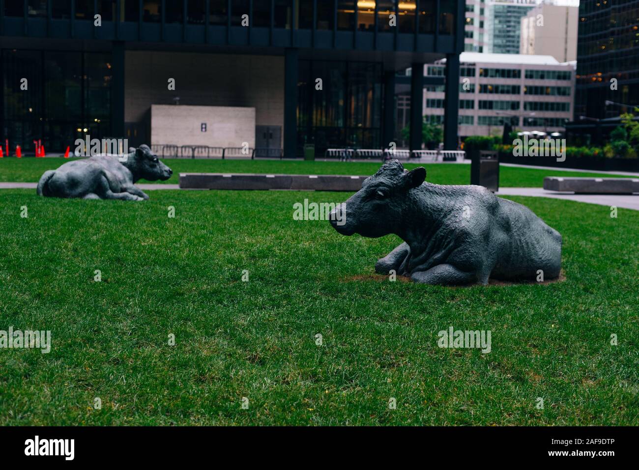 Toronto, Canada - november, 2019 A small park featuring a number of ...