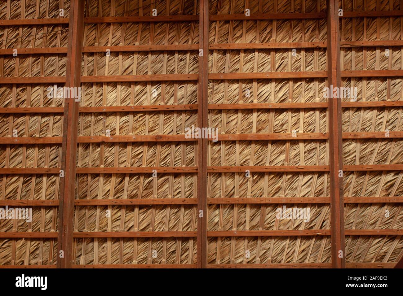 Tropical Straw Roof Hut High Resolution Stock Photography and Images ...