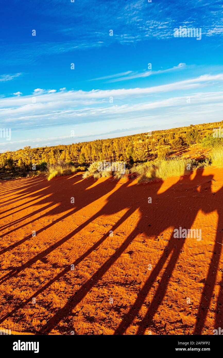 Uluru, Northern Territory, Australia - 20 Sep 19: Camel sunset tour ...