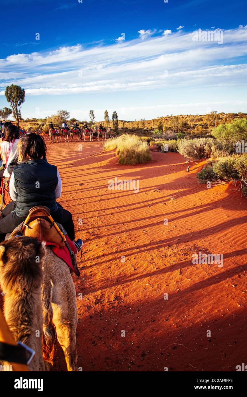 Uluru camel tours hi-res stock photography and images - Alamy