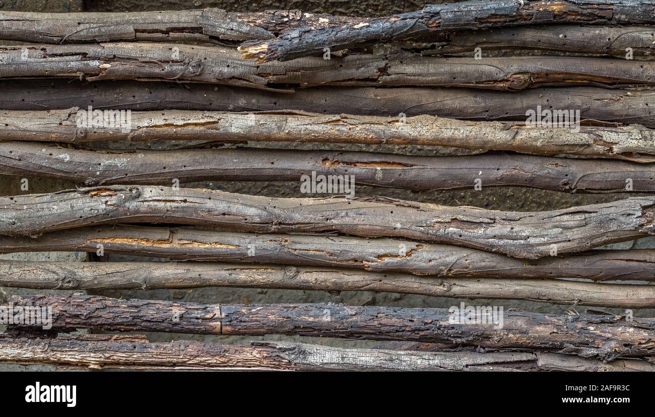Dry sticks lying parallel next to each other image for background use ...