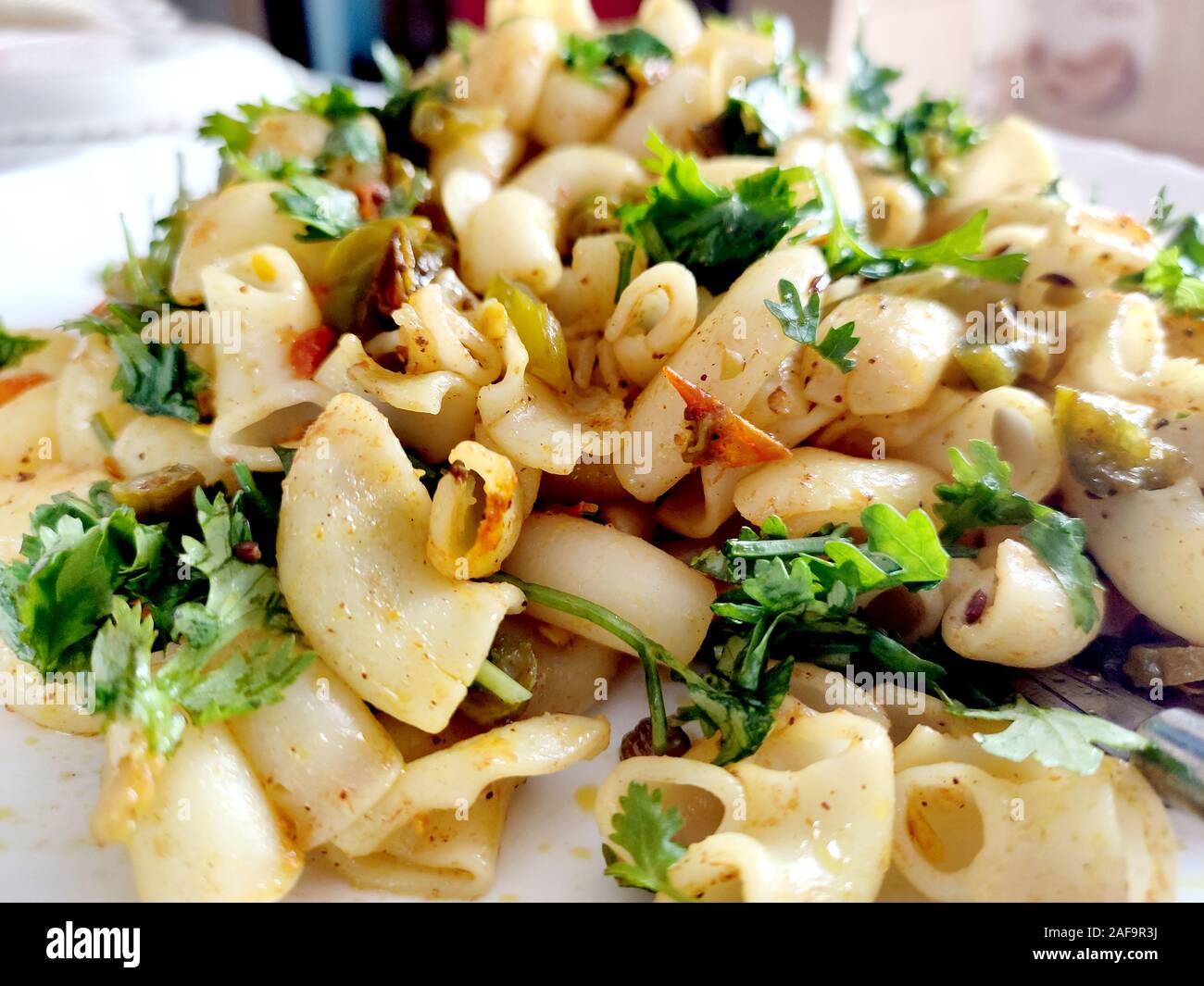 Elbow macaroni pasta with tomatoes, beans and parmesan on a plate close ...