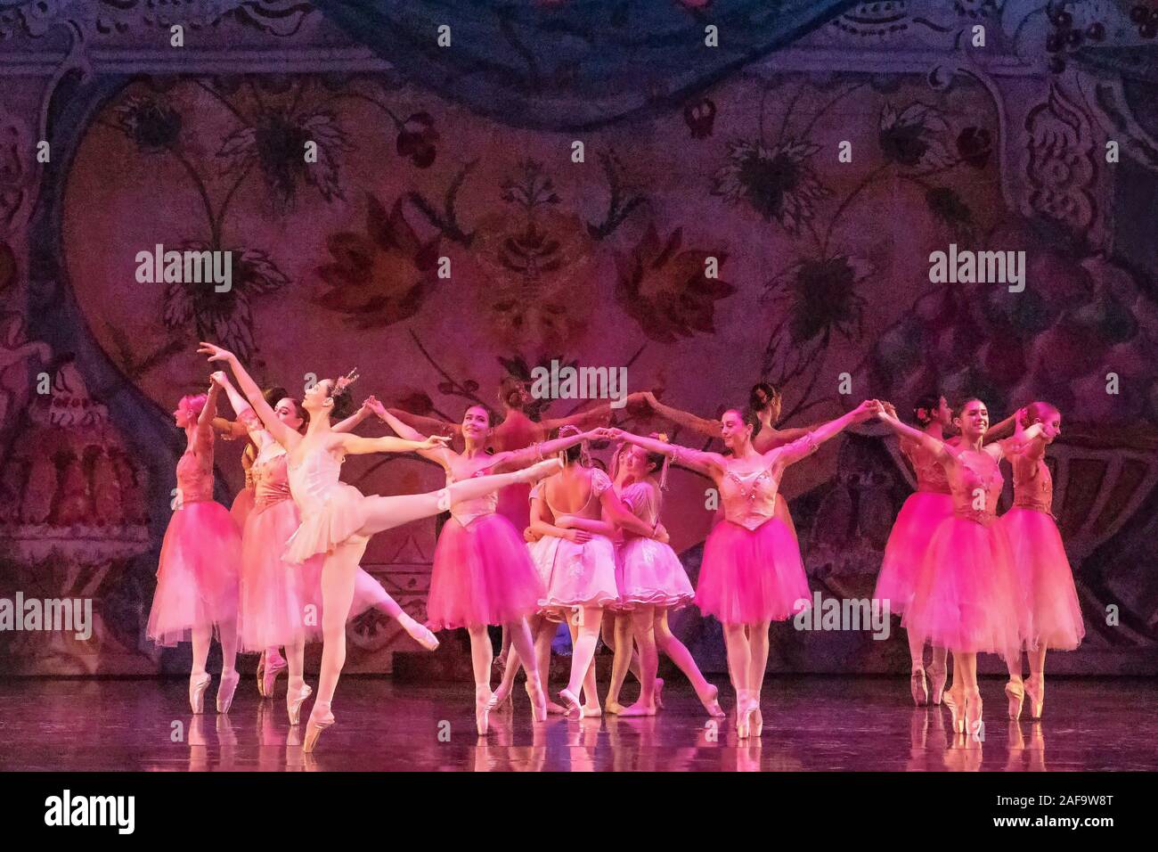 Sugar plum fairy dancing the Waltz of flowers in the Nutcracker, San ...