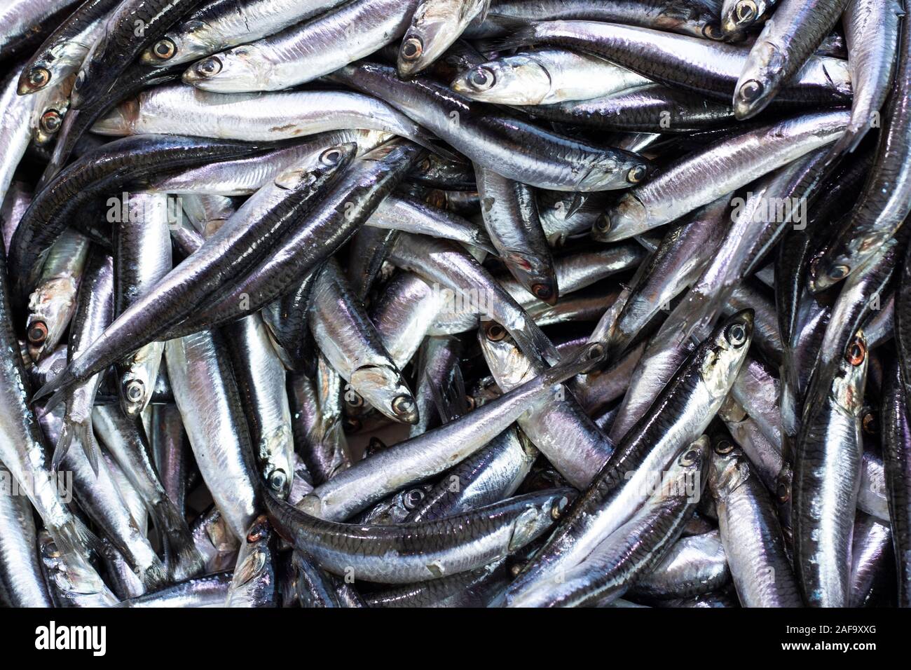 Image of heap of anchovies hunted on bench Stock Photo - Alamy