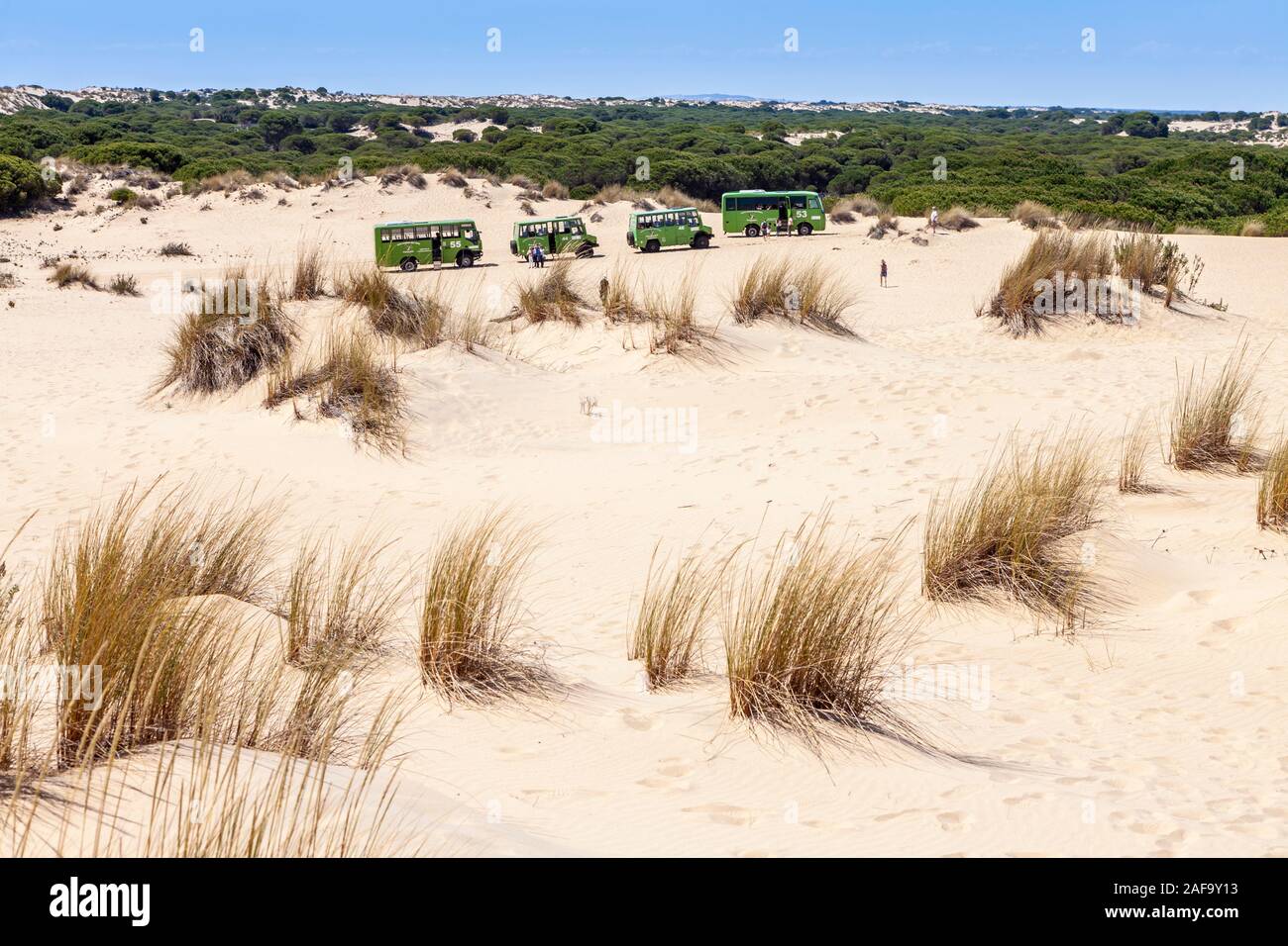 National Park of Doñana, Huelva, Spain Stock Photo - Alamy