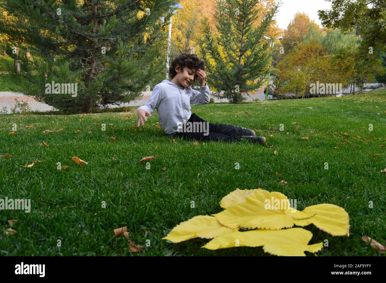 autumn in iran tehran Stock Photo - Alamy
