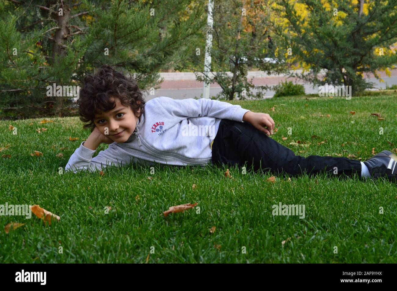 autumn in iran tehran Stock Photo - Alamy