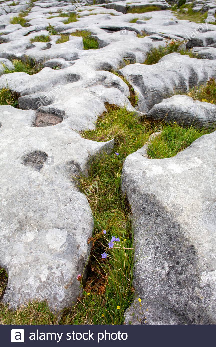 Rock formation in the Burren County Clare, ireland Stock Photo - Alamy