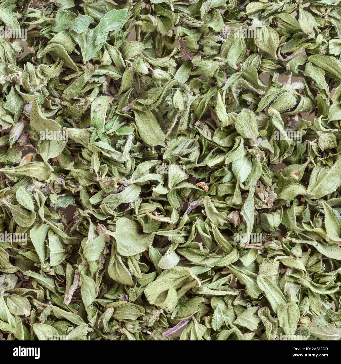 Dry thyme background Stock Photo - Alamy