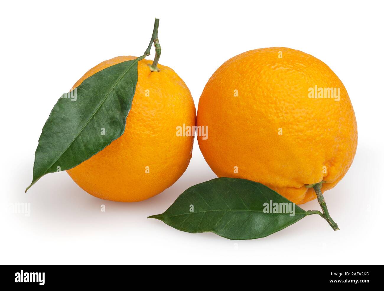 Two oranges isolated on white background with clipping path Stock Photo ...