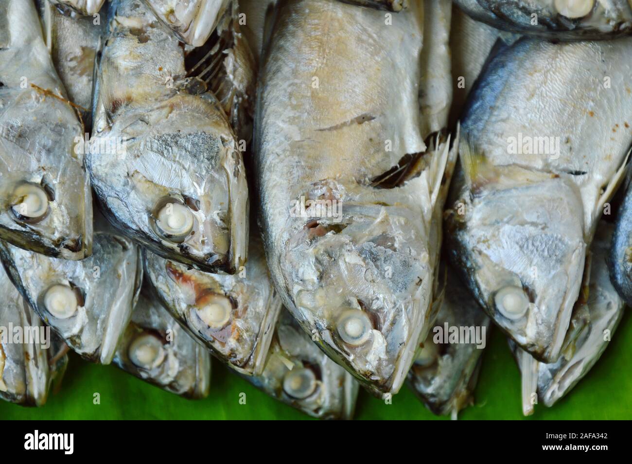 Fresh small mackerel fish sale hi-res stock photography and images - Alamy
