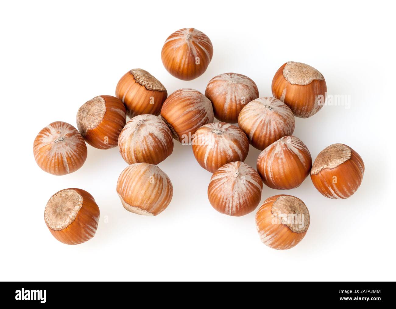 Hazelnuts isolated on white background Stock Photo - Alamy