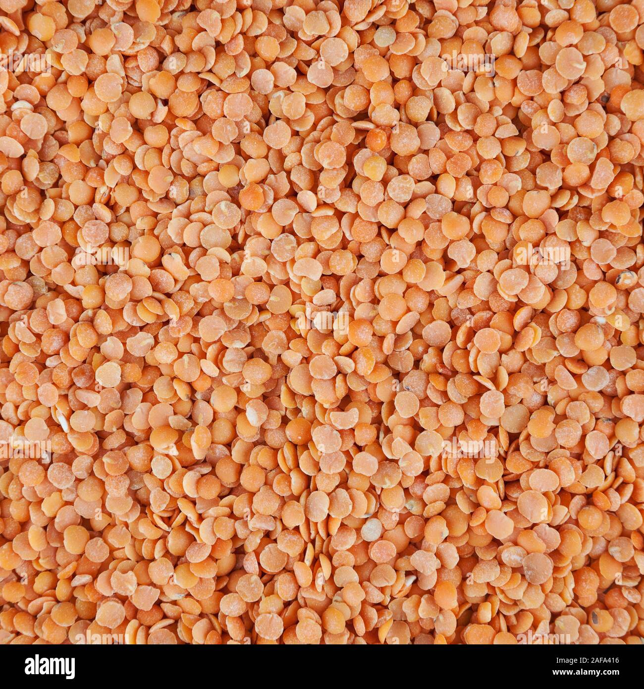Red lentil background Stock Photo - Alamy