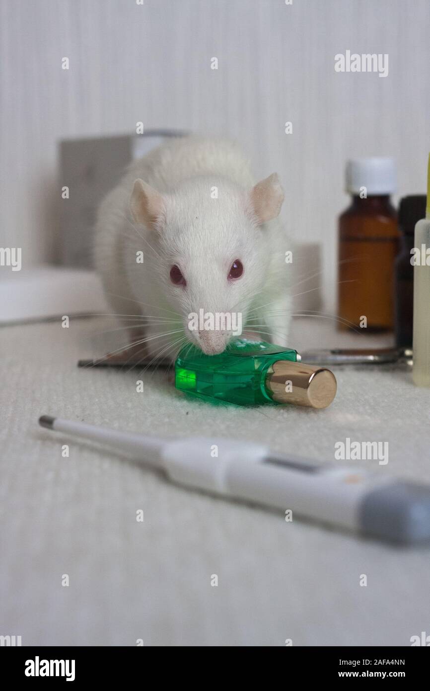 Nasty experience hi-res stock photography and images - Alamy