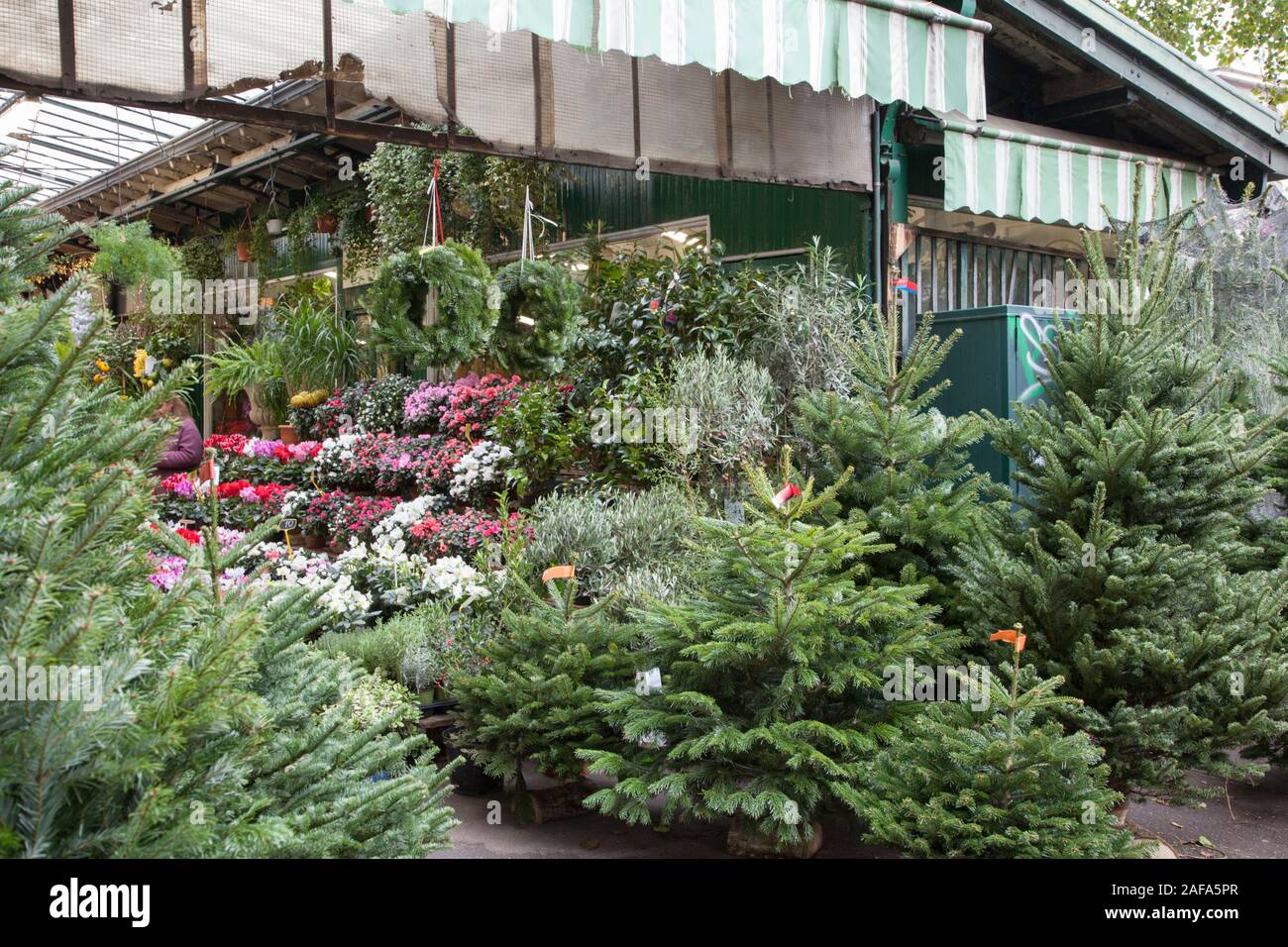 Flower market paris ile de la cité hi-res stock photography and images ...