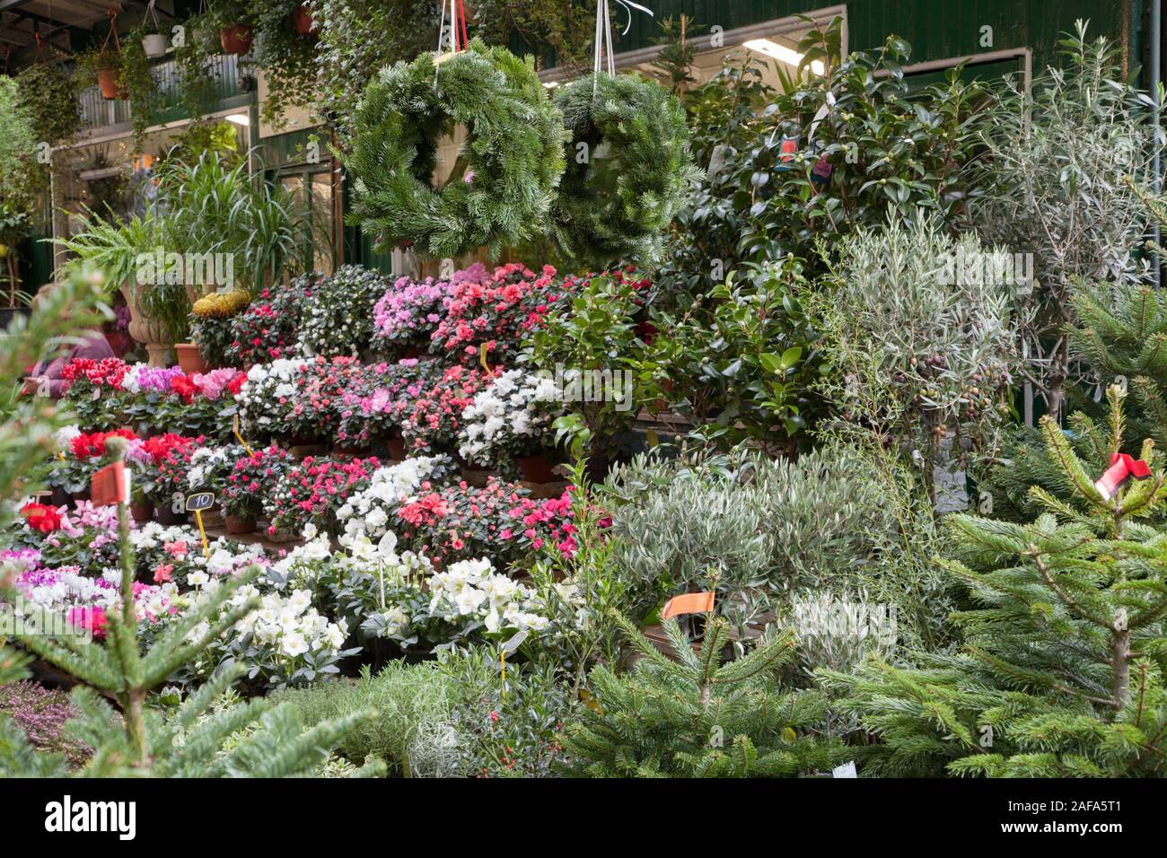 Marche aux Fleurs (Flower Market Stock Photo - Alamy