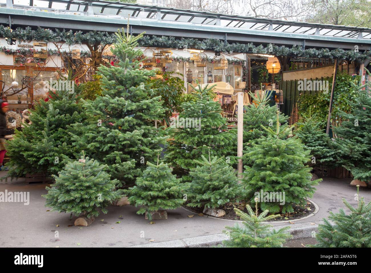 Marché aux fleurs paris ile de la cité hi-res stock photography and ...