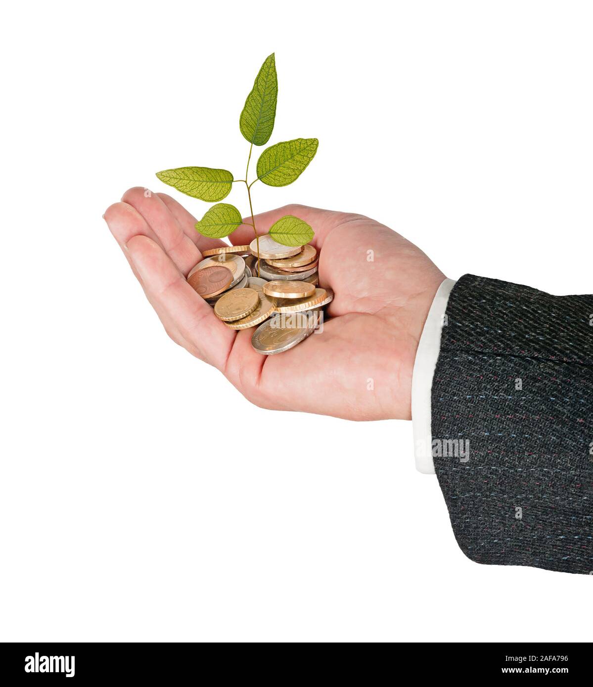 Sapling in hand Stock Photo - Alamy