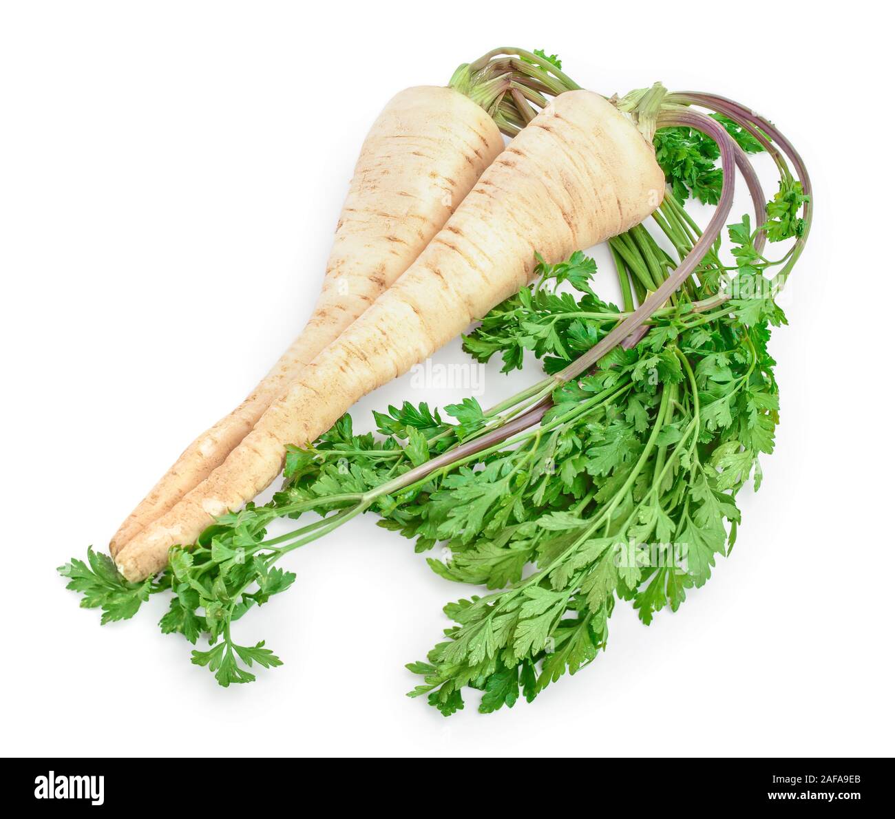 Parsley root with leafs isolated on white background Stock Photo - Alamy