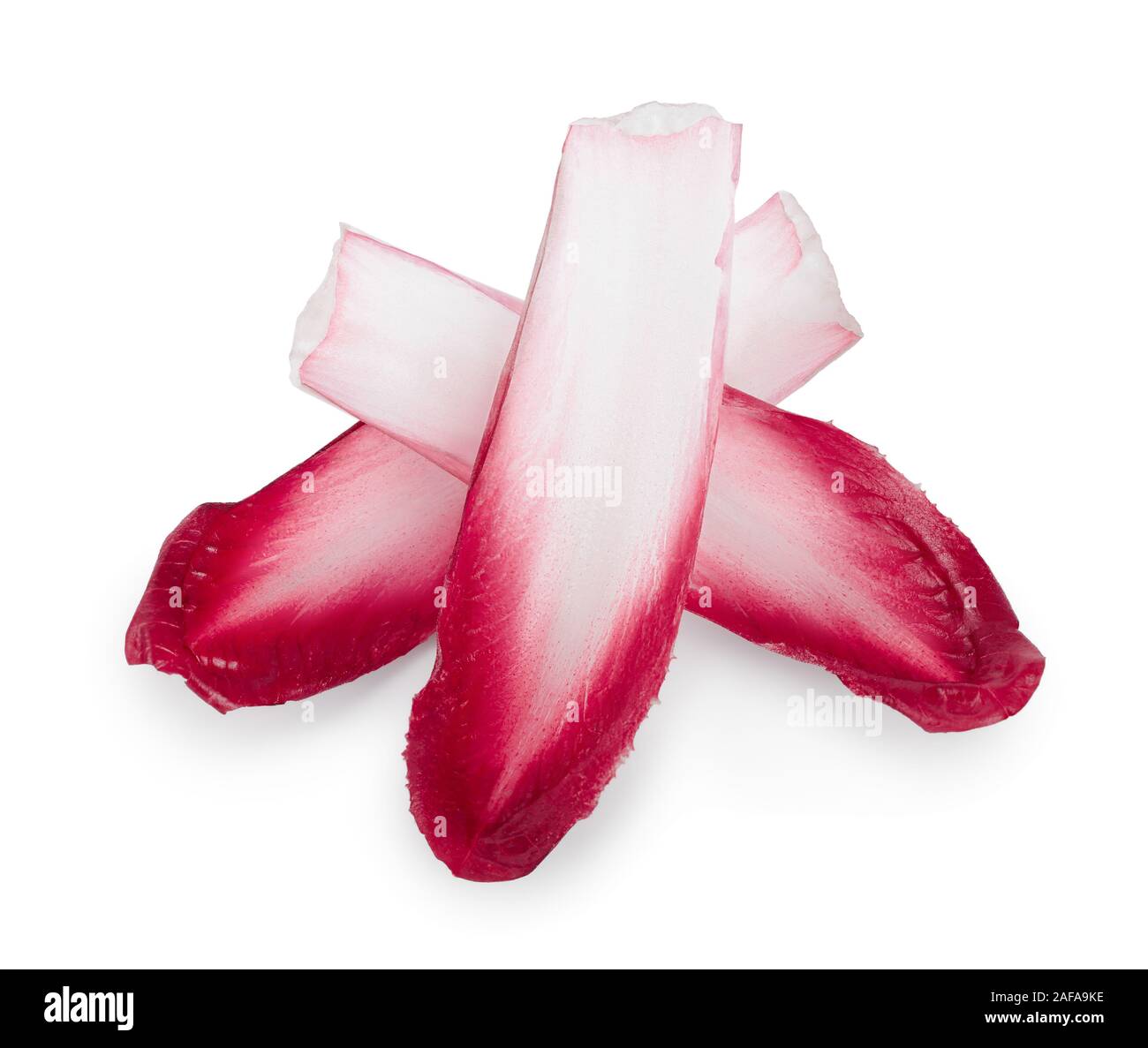 red chicory or radicchio leaves isolated on white background Stock ...