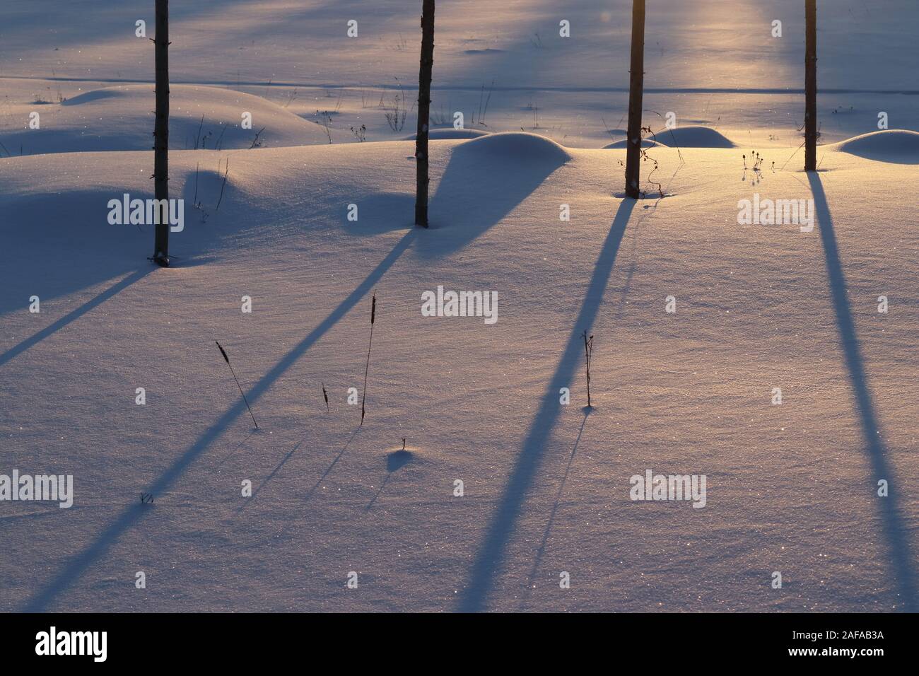 Four tall wooden poles in winter landscape. During summer season the ...