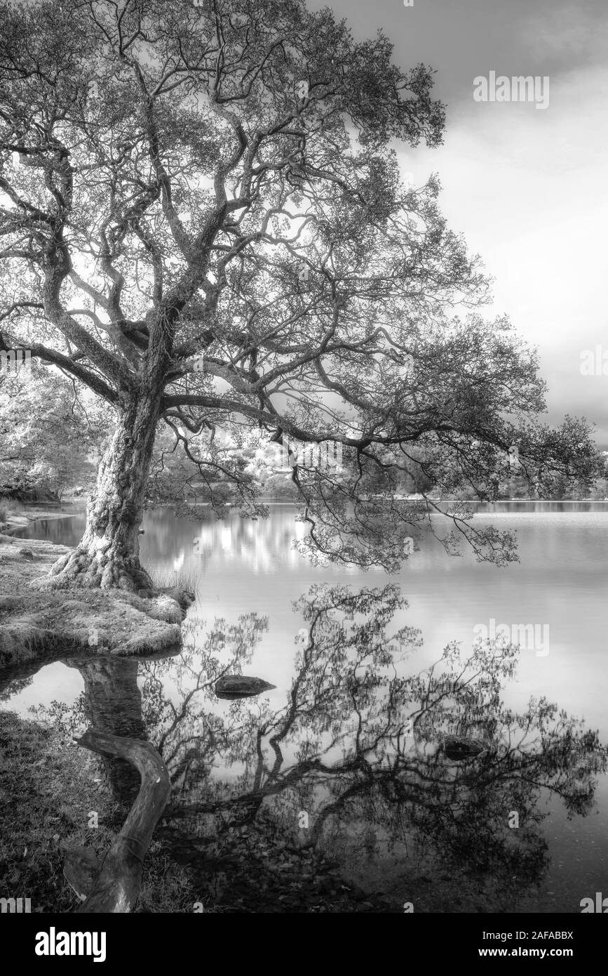 Stunning Autumn Fall landscape of lake in sunrise soft light in English ...