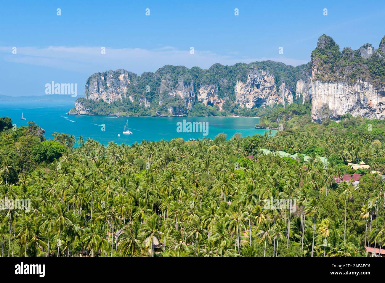 Railay palm trees hi-res stock photography and images - Alamy