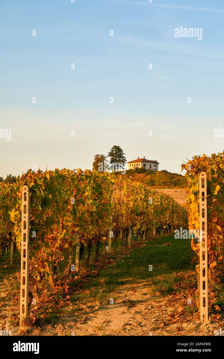 Alba italy hi-res stock photography and images - Alamy