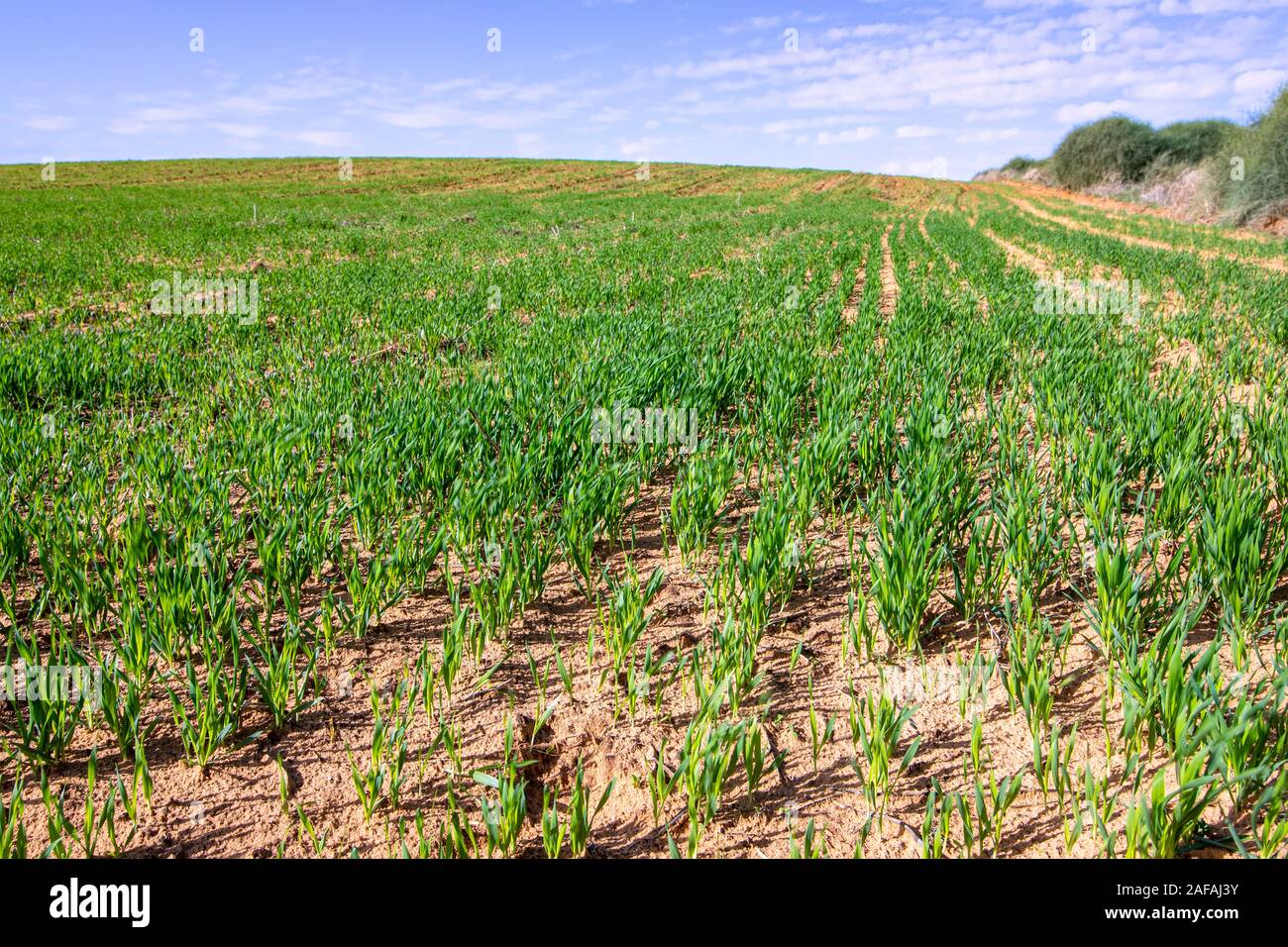 Cloud rows hi-res stock photography and images - Alamy