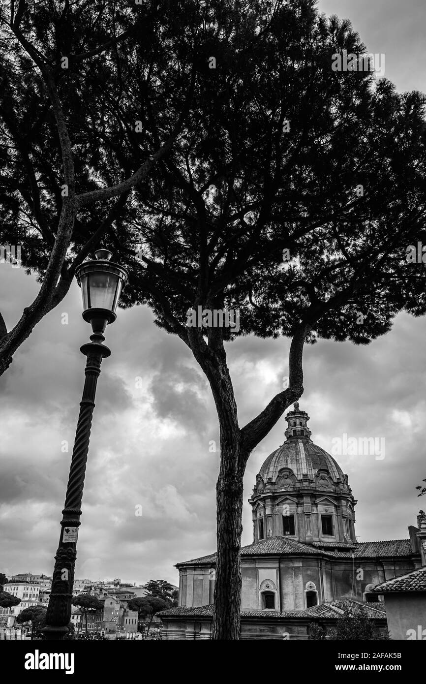 Framed by the tree Black and White Stock Photos & Images - Alamy