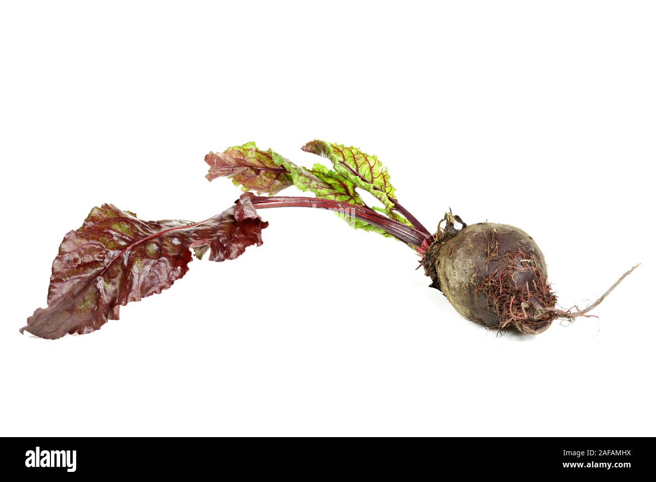 beetroot with leaves isolated on white background Stock Photo - Alamy