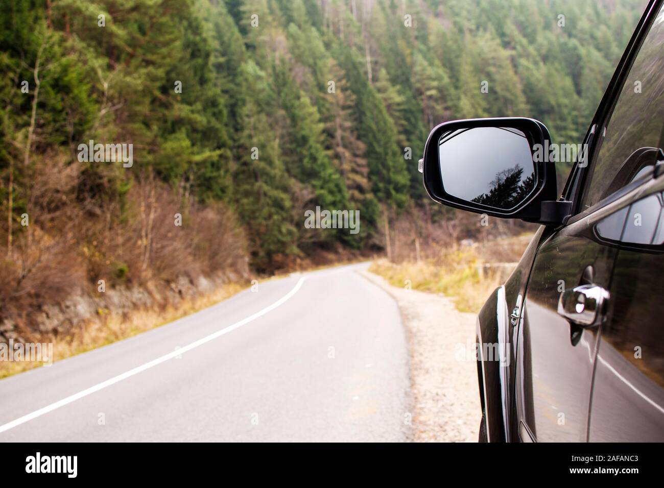 Car road forest hi-res stock photography and images - Alamy