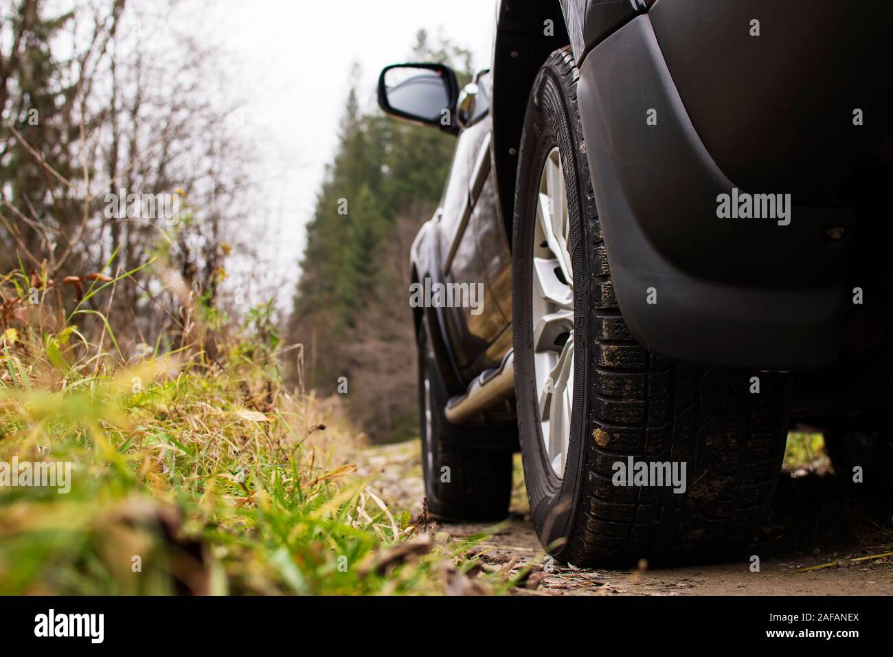 Wheel woods hi-res stock photography and images - Alamy