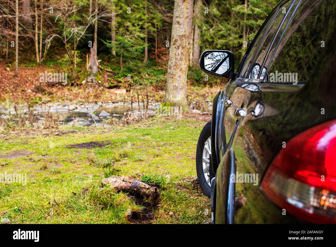 Car on the forest road against the background of coniferous forest ...