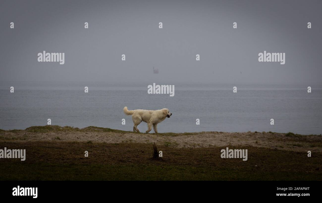 Malmo beach sweden hi-res stock photography and images - Alamy