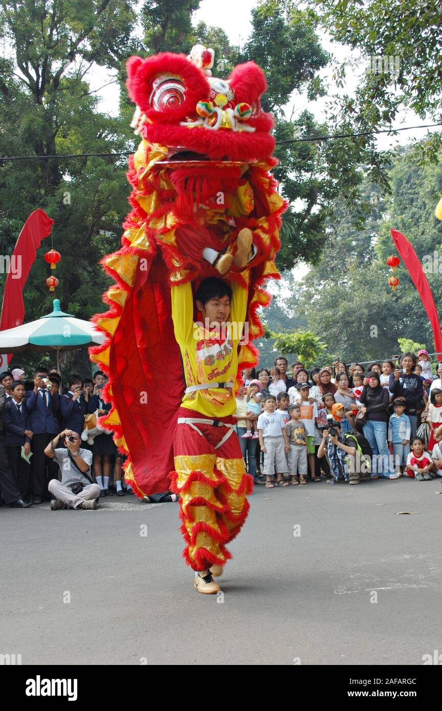 Lion dance puppet show in Chinese New Year Festival Stock Photo - Alamy