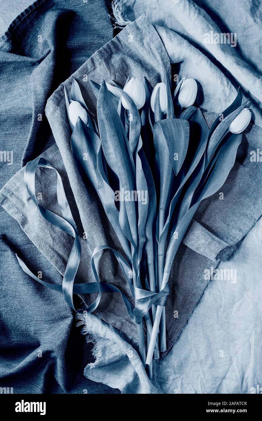 White tulips over grey Stock Photo - Alamy