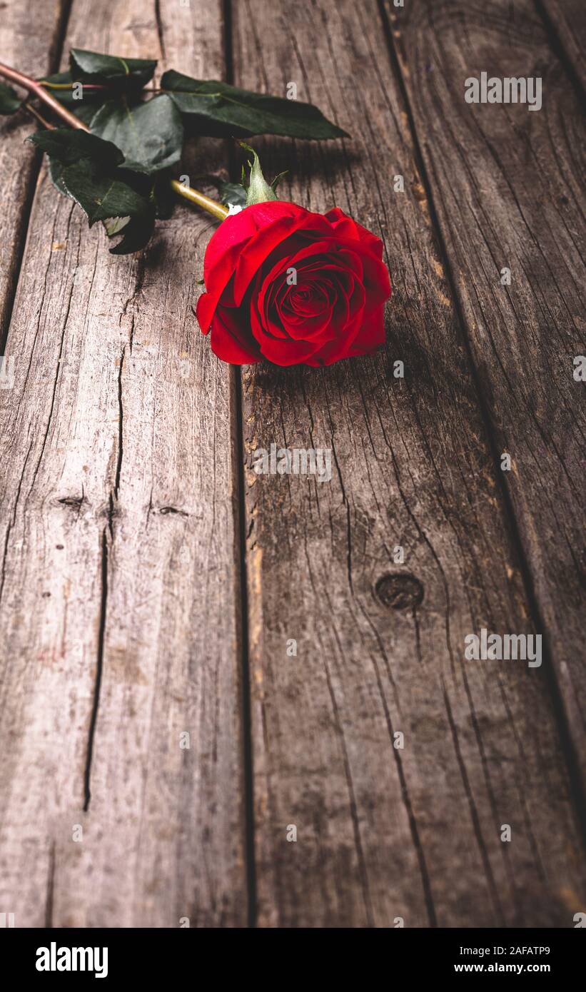 Single red rose on old rustic wooden surface with copy space Stock ...