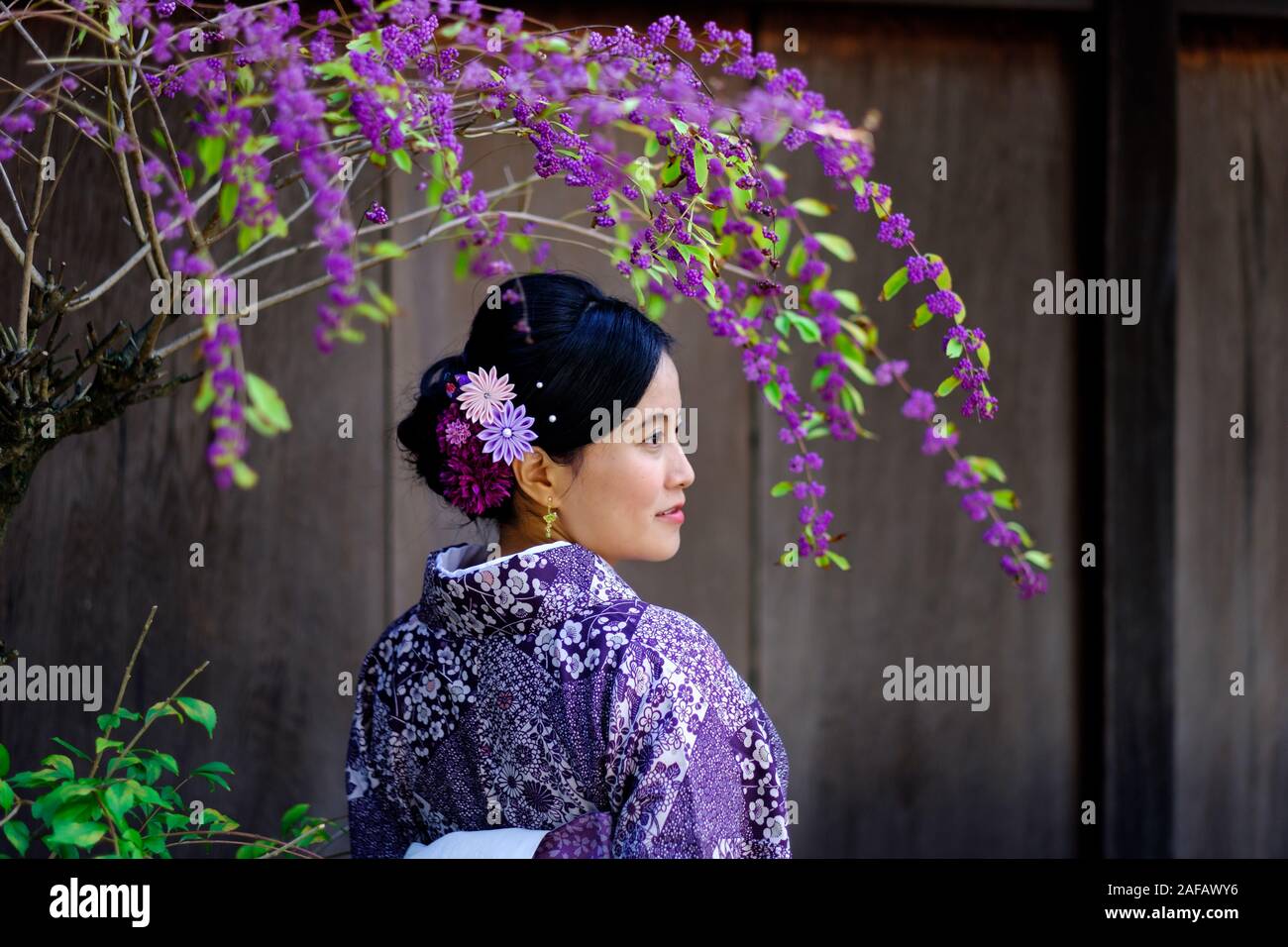 Geisha girl flowers hi-res stock photography and images - Alamy