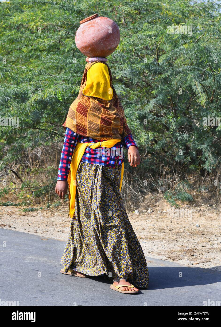 Indian young woman in veil wear warm cloth and carry pot on her head to ...