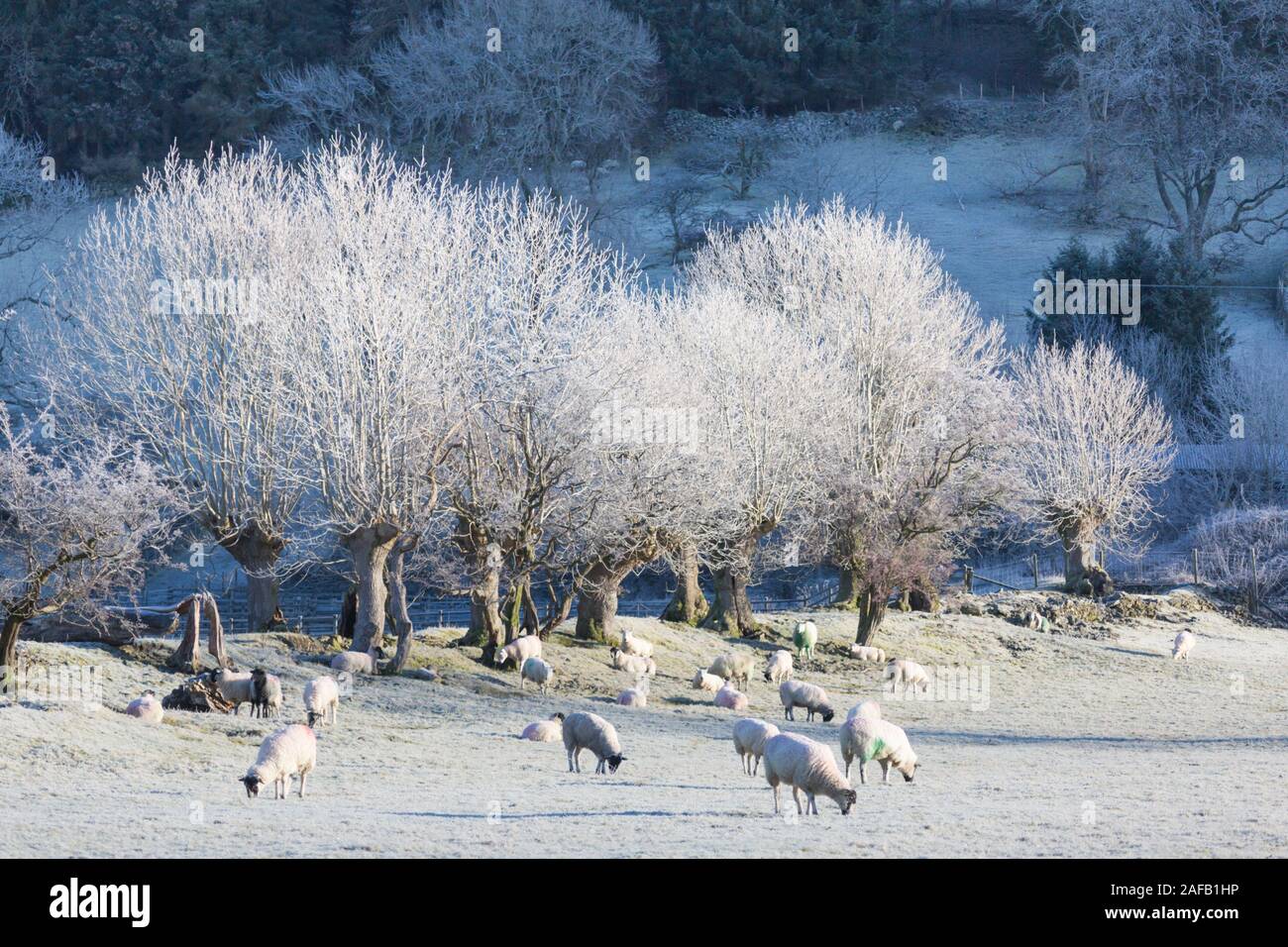 Narnia animal hi-res stock photography and images - Alamy