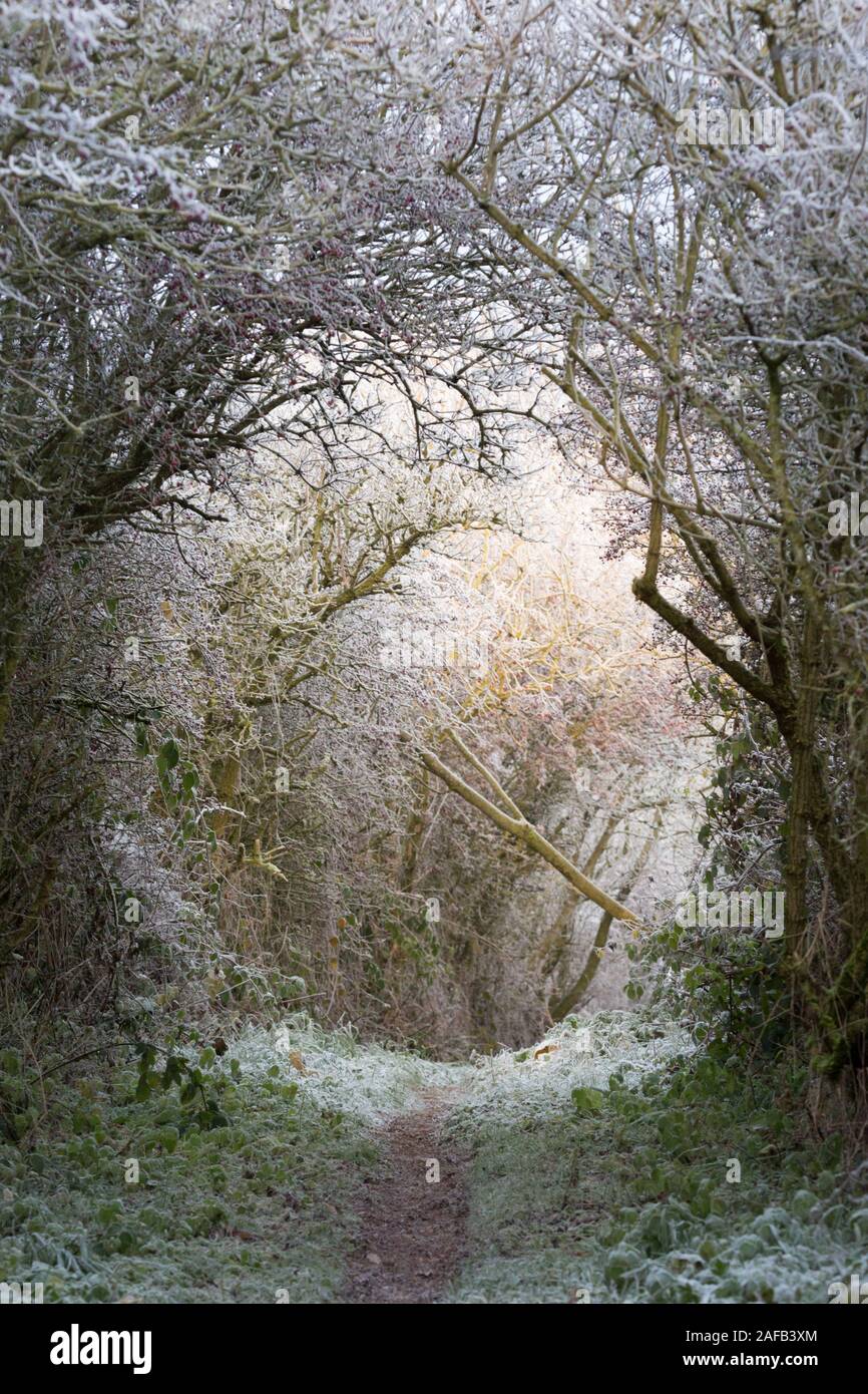 Ancient footpath hi-res stock photography and images - Alamy