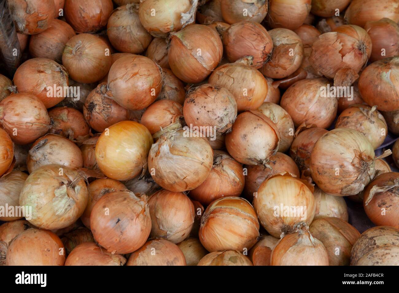 Pile of onions hi-res stock photography and images - Alamy